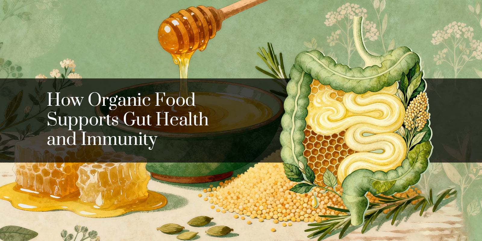 How Organic Food Supports Gut Health and Immunity – Shiva Organic