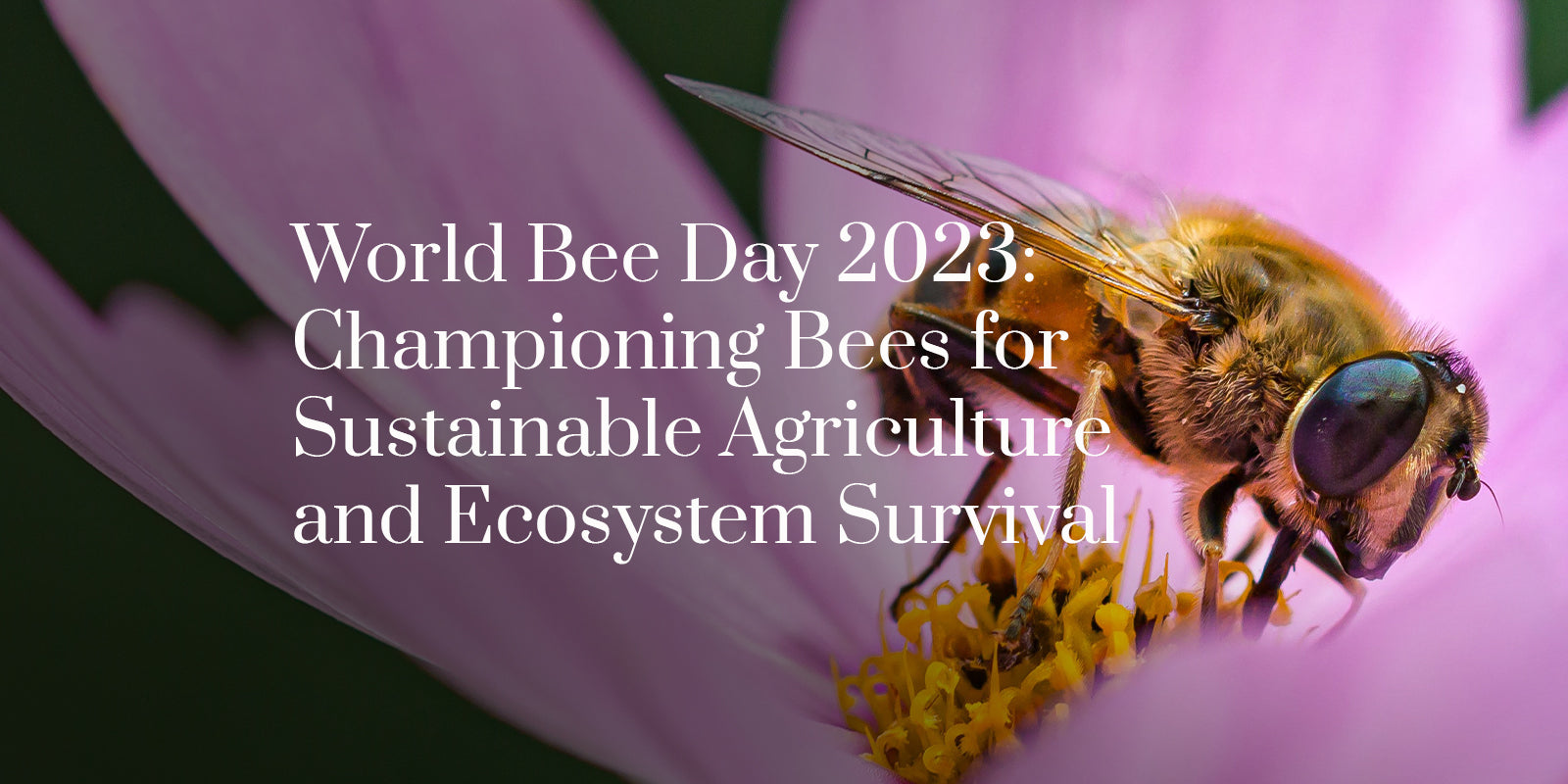 World Bee Day 2023: Protecting Bees for a Sustainable Future – Shiva ...