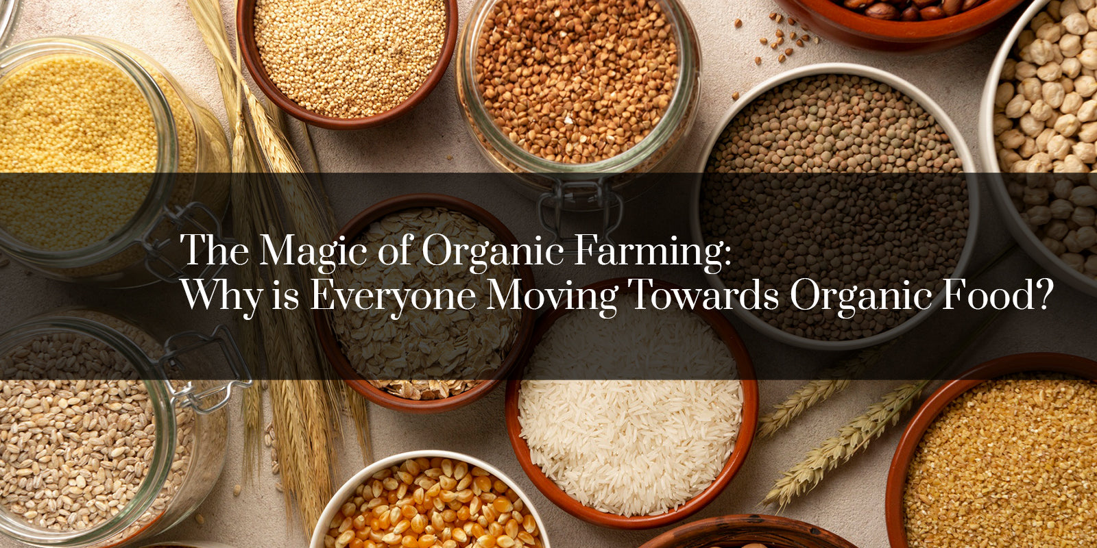 The Magic of Organic Farming; Why is Everyone Moving Towards Organic F ...