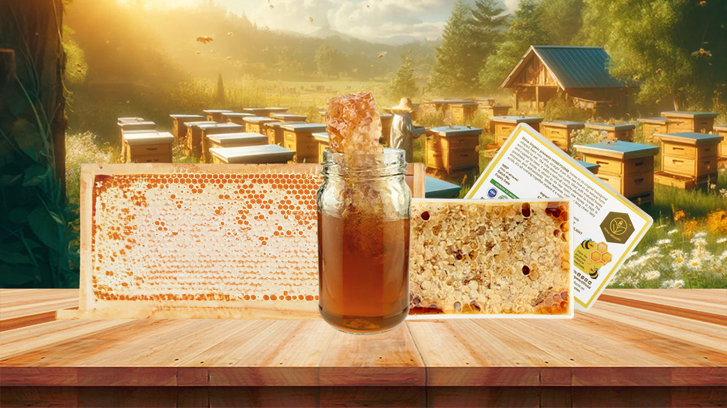 Honey Comb Shiva Organic