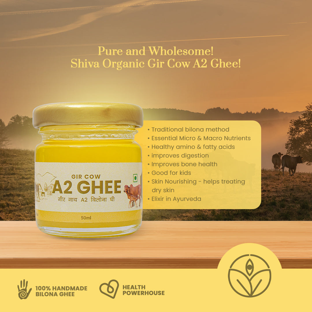 A2 Gir Cow Desi Ghee l Organic Handmade Bilona Ghee | Shiva Organic